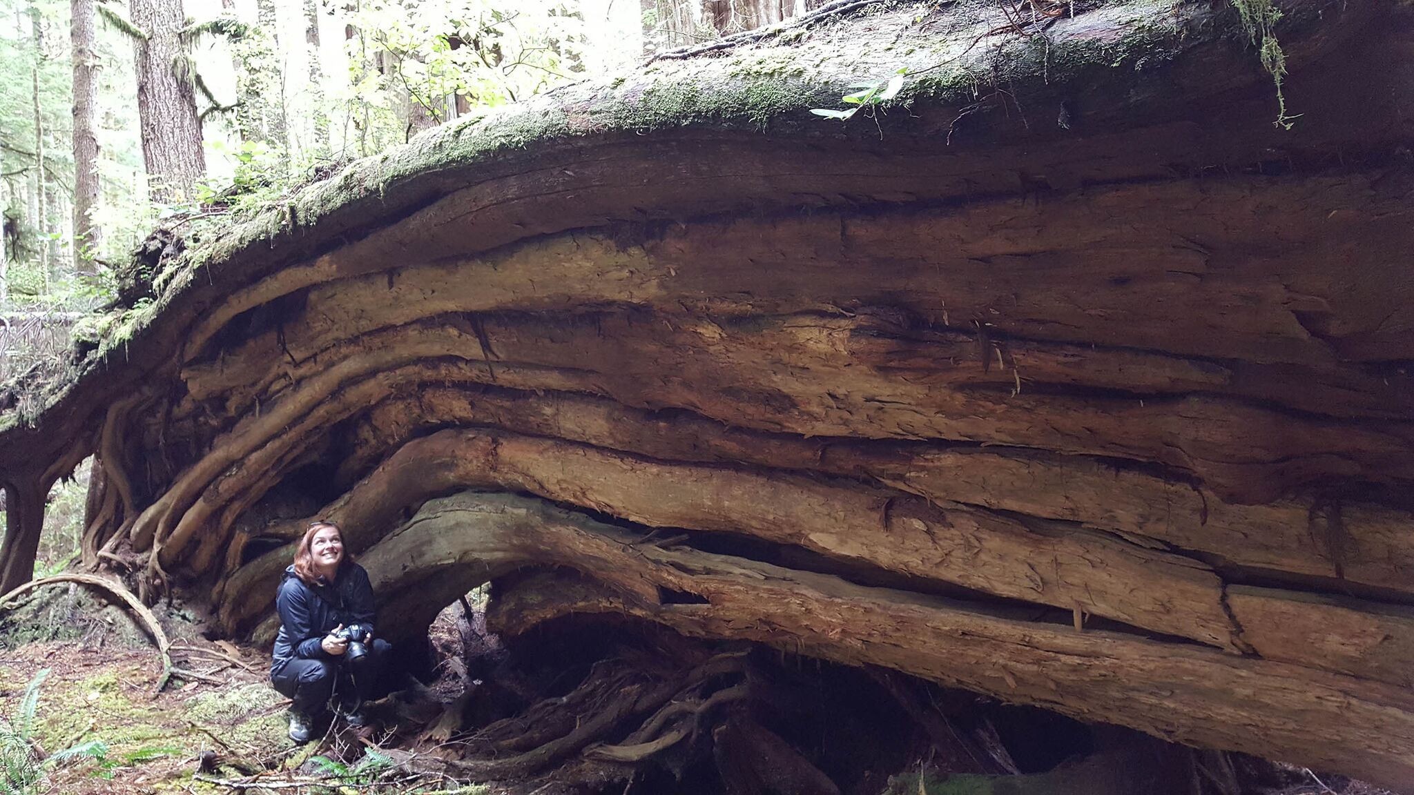 New Visual Arts professor creates Avatar Grove film project for IMAX ...